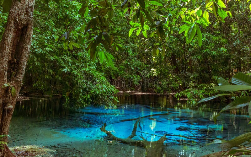 Natural Crystal Blue Water, Emerald Pool Stock Photo - Image of trip ...