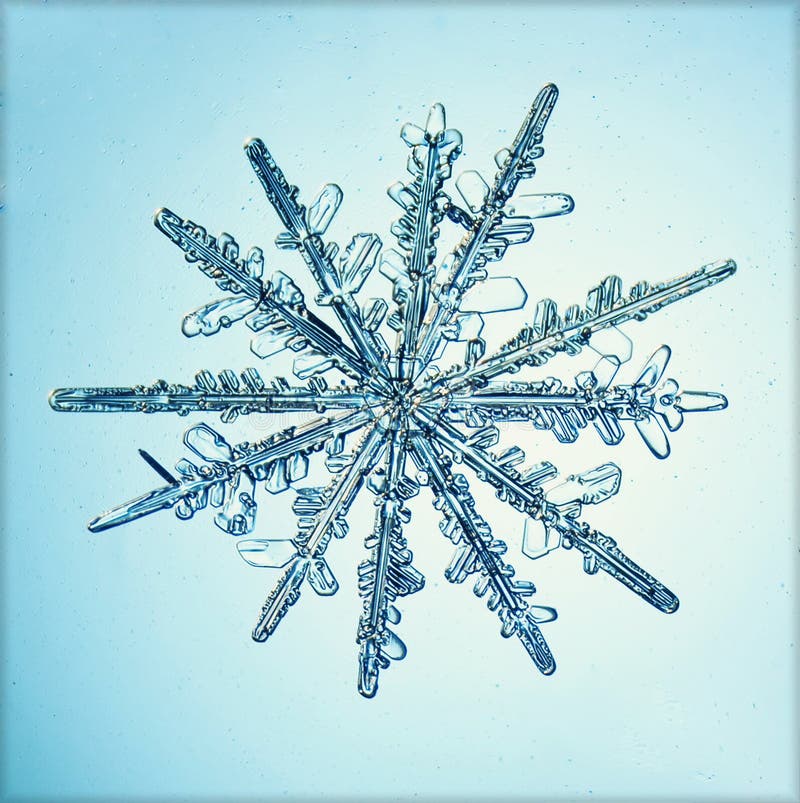 Natural Crystal Snowflake Macro Stock Image - Image of frost, cool ...