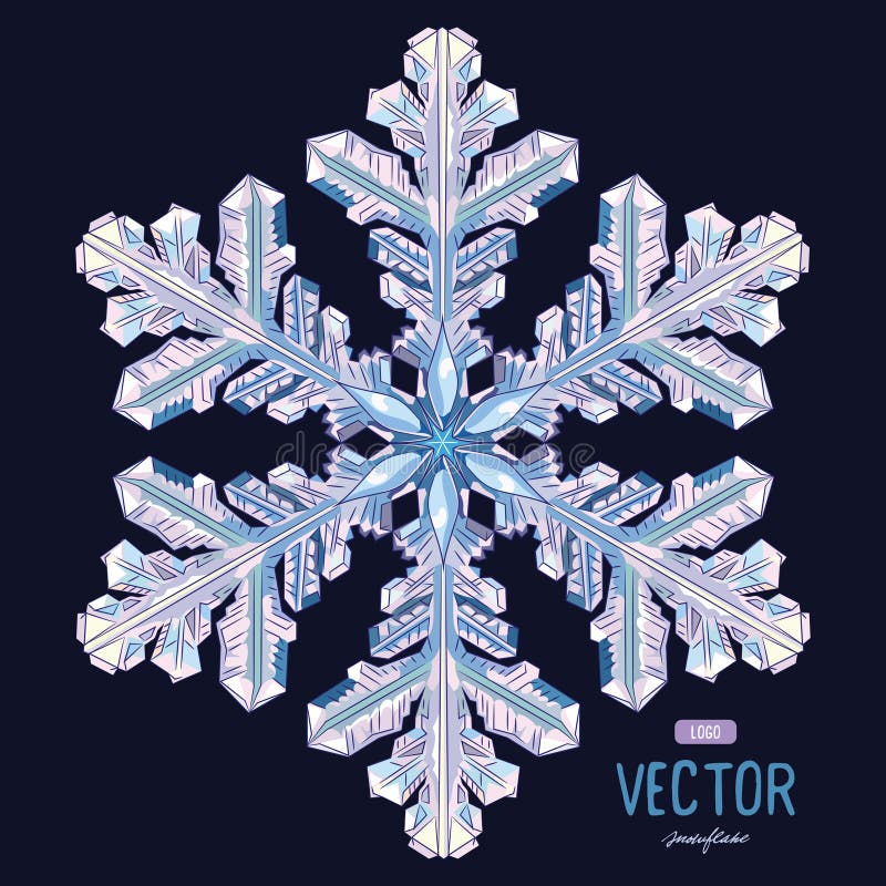 Natural crystal snowflake stock vector. Illustration of season - 81399718
