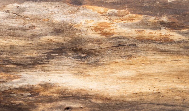Natural Dark Wood Background with Expressive Texture. Stock Image ...