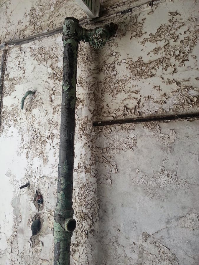 Natural Decay stock image. Image of decay, natural, walls - 50254623