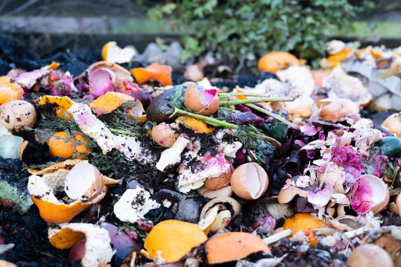 Natural Decomposition of Food and Organic Waste Stock Image - Image of ...