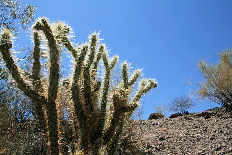 Natural Desert Landscape stock image. Image of sunshine - 54277635