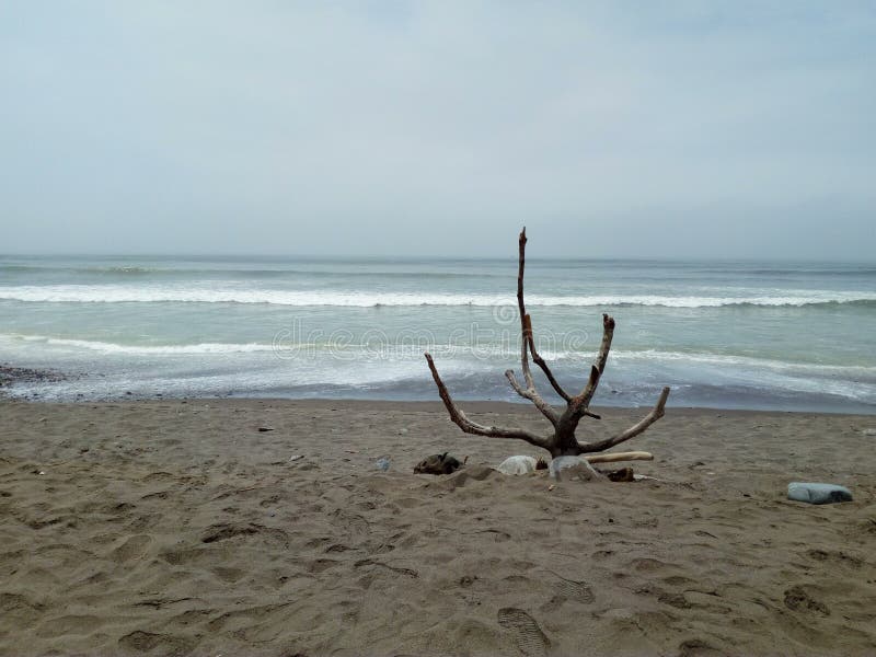 Natural design stock image. Image of modern, creativity - 106737511