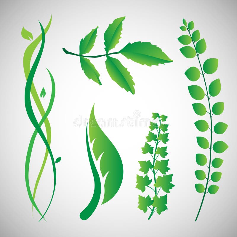 Natural Design Elements stock vector. Illustration of blank - 253603682