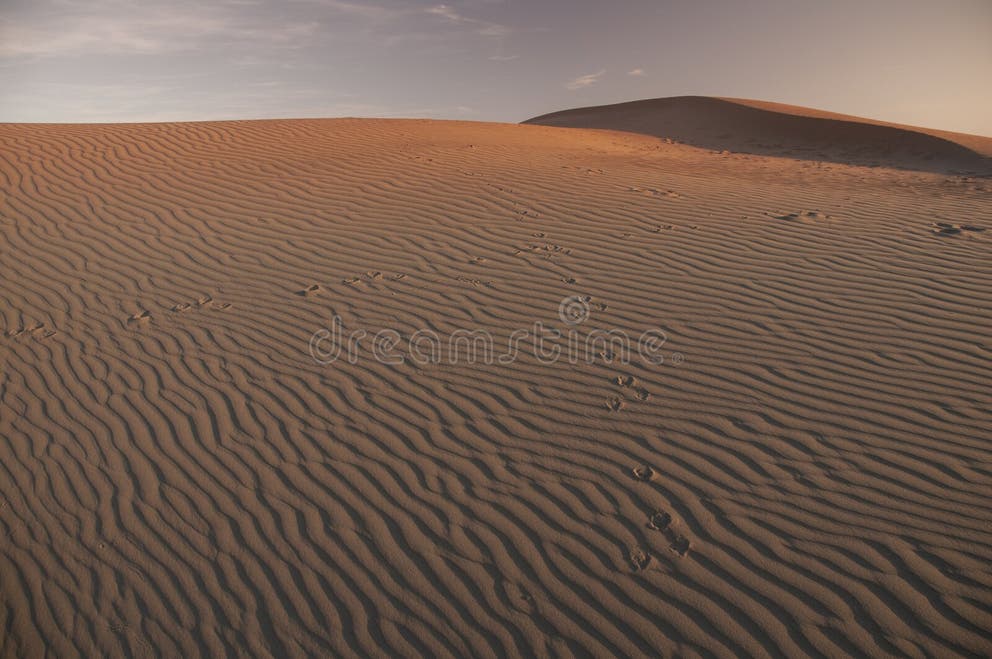 Natural Designs and Shapes in the Sand, Stock Photo - Image of sand ...