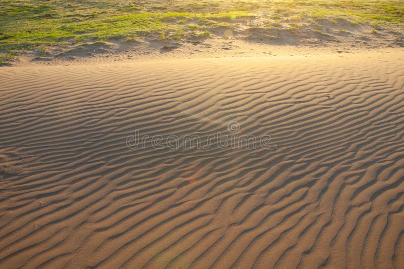 Natural Designs and Shapes in the Sand, Stock Image - Image of texture ...