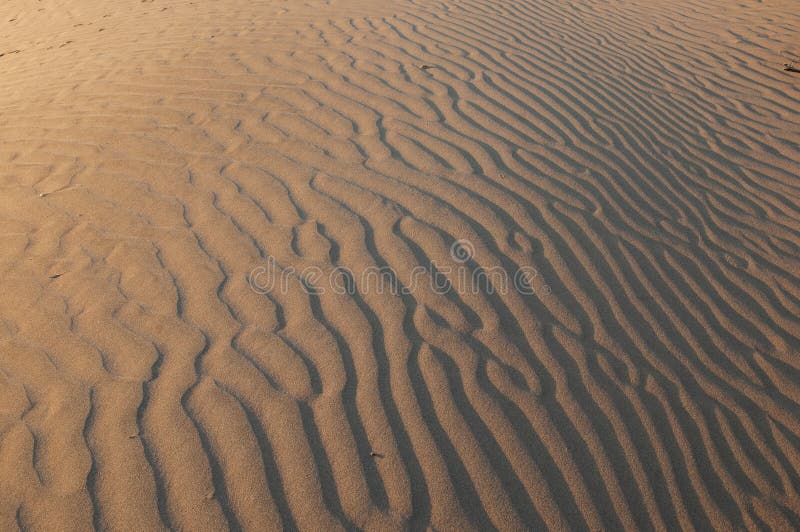 Natural Designs and Shapes in the Sand, Stock Image - Image of soil ...