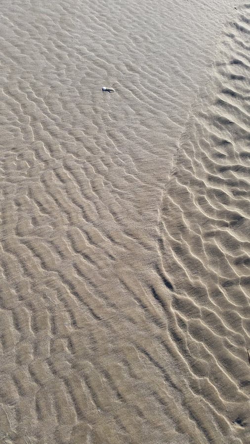 Sand Trace stock photo. Image of entourage, desert, beaches - 185053984