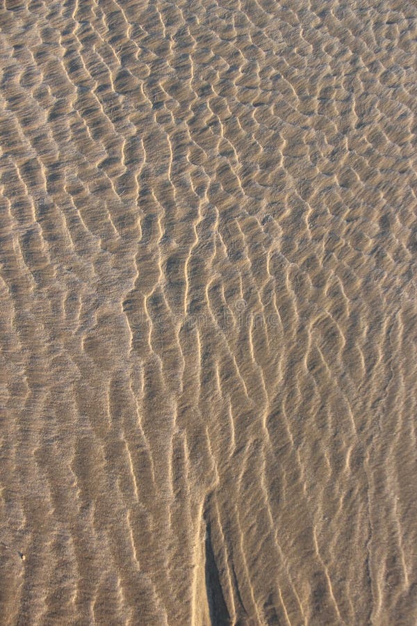 Sand Trace Pure Nature stock image. Image of close, conditions - 185475025