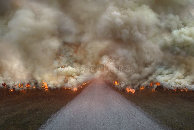 Natural Disaster with Big Fire on the Road Stock Photo - Image of ...