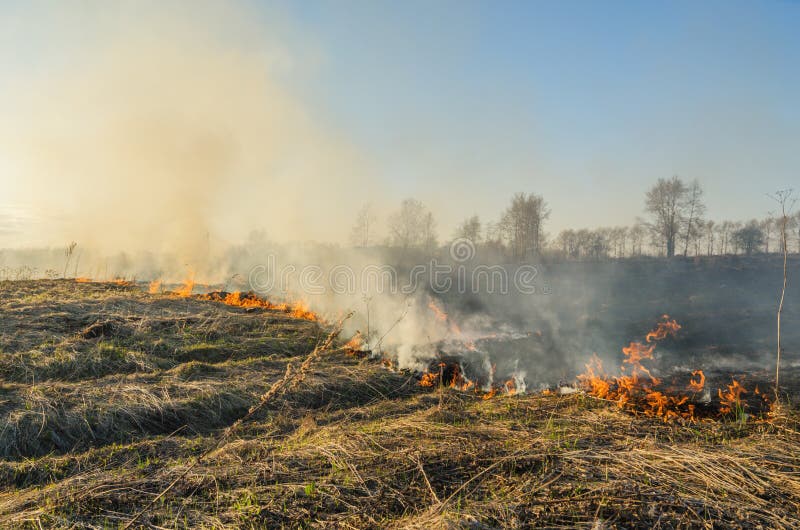 A Natural Disaster. Fire in Nature Stock Image - Image of landscapes ...