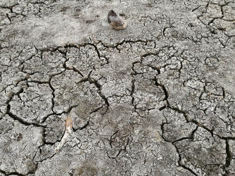 Natural in Dried Cracked Mud.Vintage. Stock Image - Image of landscape ...