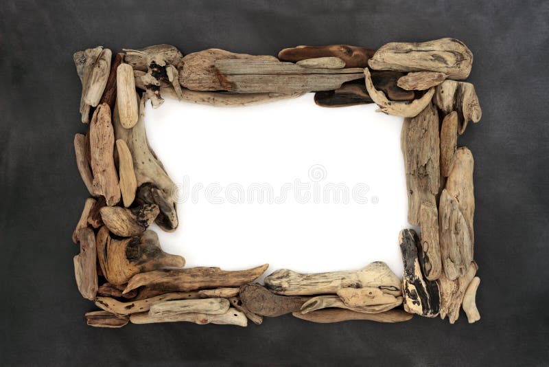 Natural Driftwood from Mangrove Wood Stock Image - Image of drift ...
