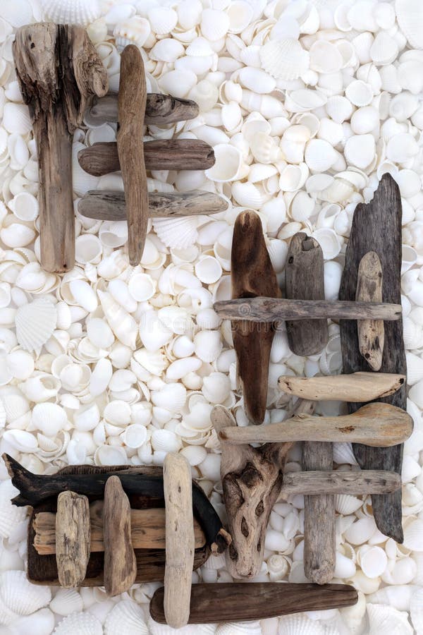 Natural Driftwood from Mangrove Wood Stock Image - Image of drift ...