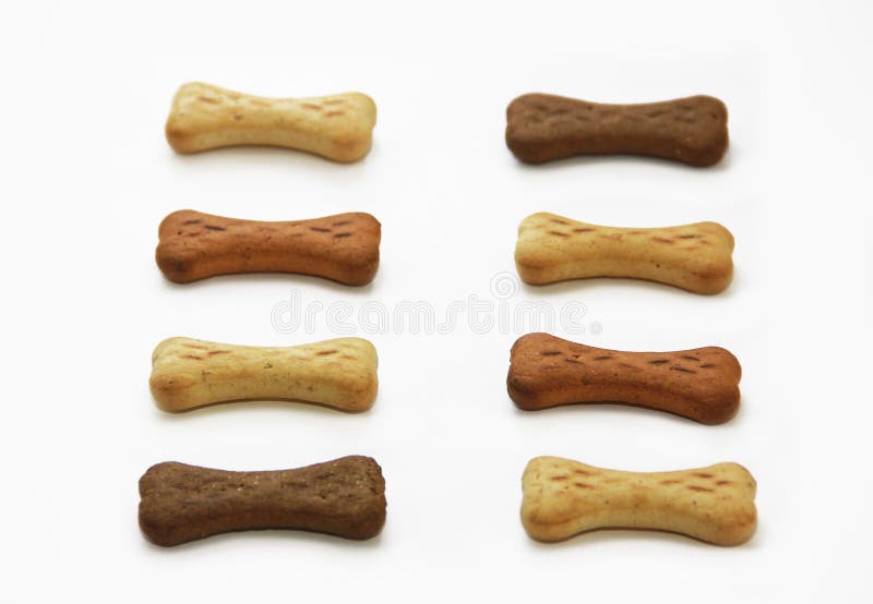 Natural Dry Dog Food in the Form of a Bone Stock Image - Image of ...
