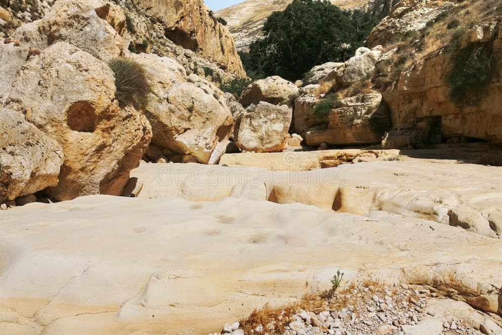 Natural dum. stock image. Image of bottom, environment - 14681469