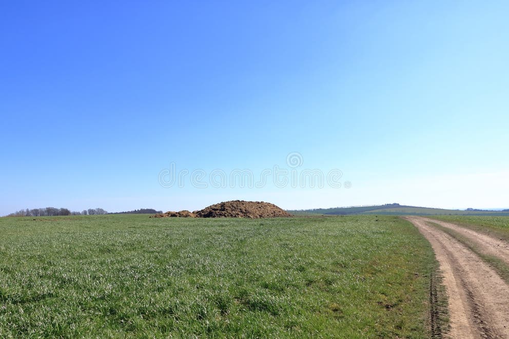 Natural dunghill on a land stock photo. Image of fecal - 219755998