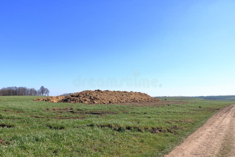 Natural dunghill on a land stock image. Image of green - 219756023
