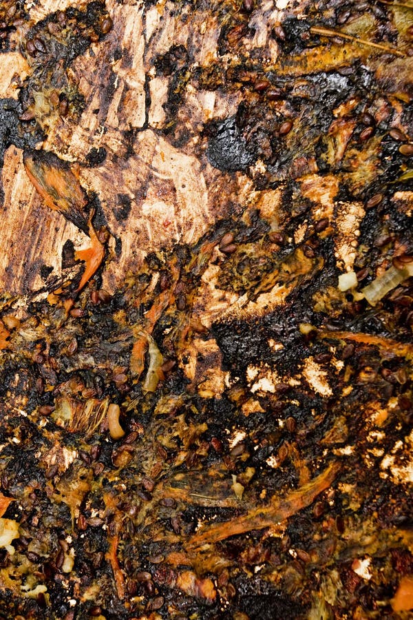 Natural Earth Texture, Earth Day Stock Image - Image of forgotten ...