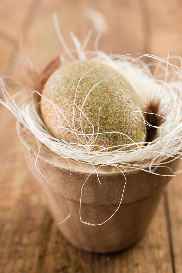Natural Easter egg stock image. Image of painted, food - 67854839