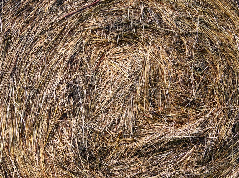 Natural eco texture stock photo. Image of stylish, summer - 43810232