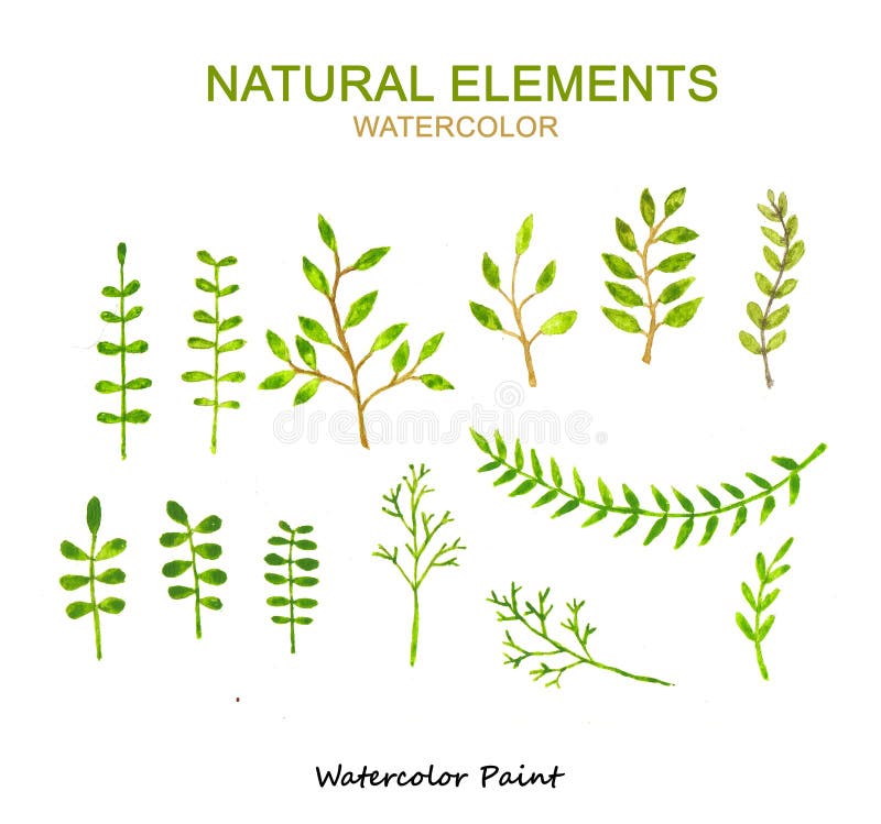 Natural Elements, Watercolor Paint High Resolution Stock Illustration ...