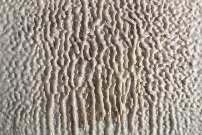 Natural Embossed Background. Abstraction Stock Photo - Image of shadows ...