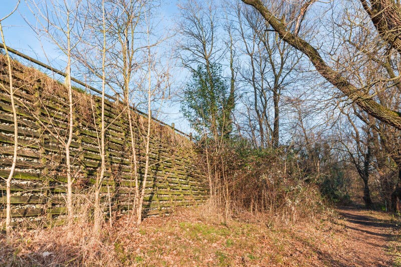 Natural Engineering - Soil Bioengineering. Example of Protection of a ...