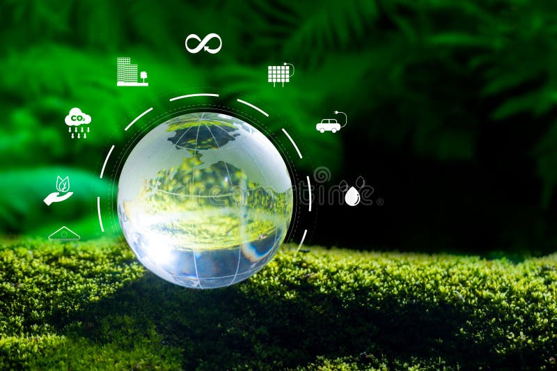 Net Zero and Carbon Neutral Concepts Net Zero Emissions Goals ...