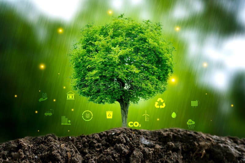 Natural Environment and Carbon Neutral Concepts in Hand for Net Zero ...