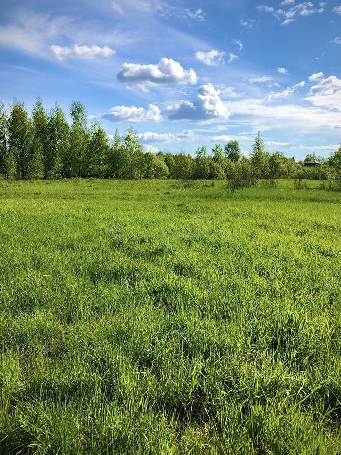 Natural Environment, Clean Ecosystem Stock Image - Image of color ...