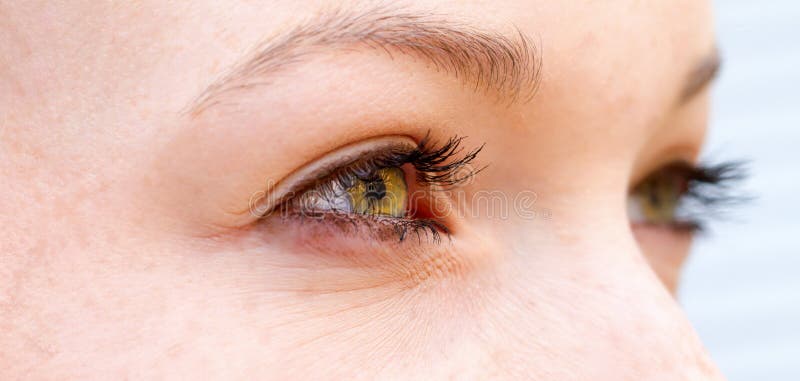 Natural eyes stock photo. Image of girl, lashes, eyeball - 37697520