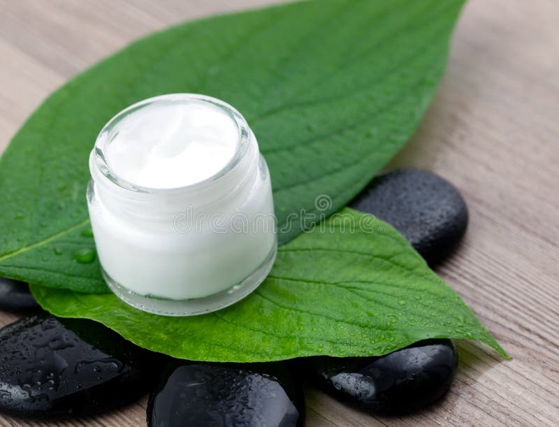 Natural face cream stock photo. Image of cream, nature - 16065962