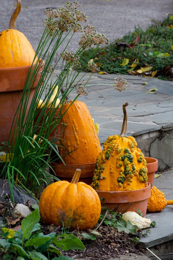 Natural fall decorations stock photo. Image of pots, thanksgiving ...
