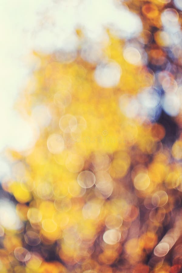 Natural Fall Forest Bokeh Background Stock Photo - Image of copy ...