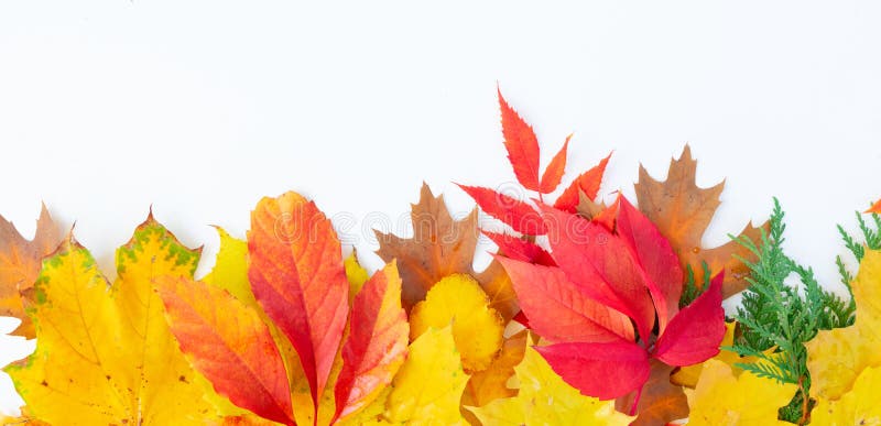 Natural Fall Leaves Background Stock Photo - Image of gold, november ...