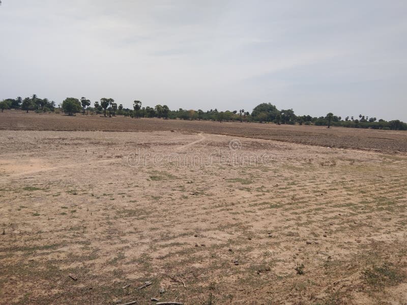 Natural Farming Paddy Land with Tree Stock Photo - Image of natural ...