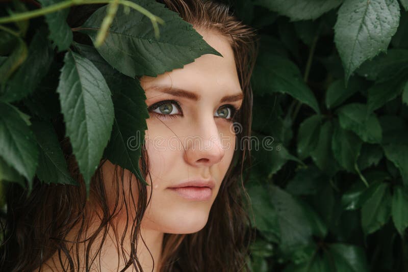 Natural Female Beauty in Summer Rain Stock Photo - Image of raindrop ...