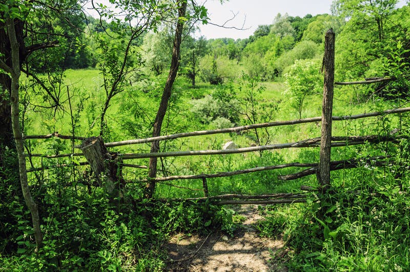 Natural fence stock photo. Image of stop, pass, wood - 39924856