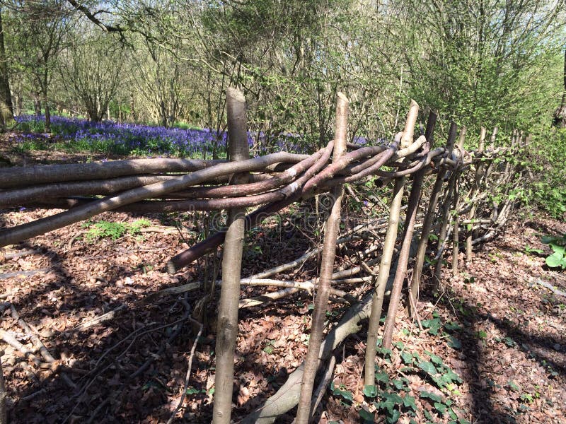 Natural Fence stock image. Image of entwined, craftsmanship - 39988497