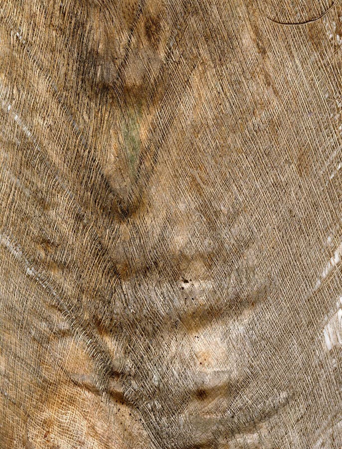 Natural fiber 02 stock photo. Image of fabric, rural, fiber - 3247888