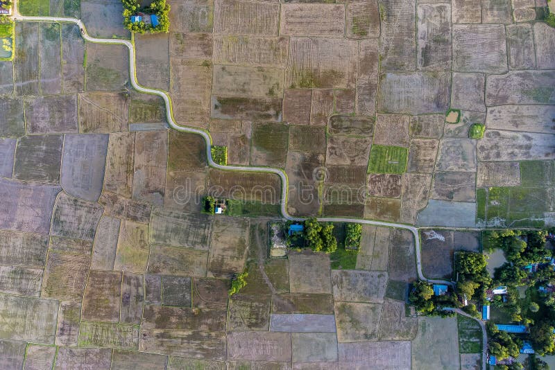 Natural field from the top stock image. Image of view - 255458197