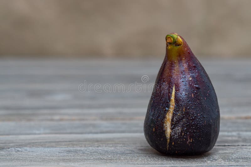 Organic Breba Picked from the Tree Stock Photo - Image of juicy, exotic ...