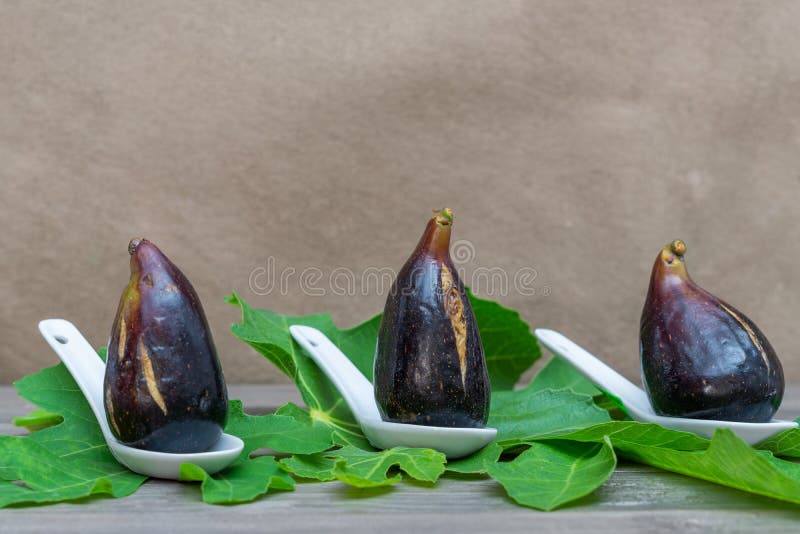 Organic Breba Picked from the Tree Stock Photo - Image of fresh, juicy ...