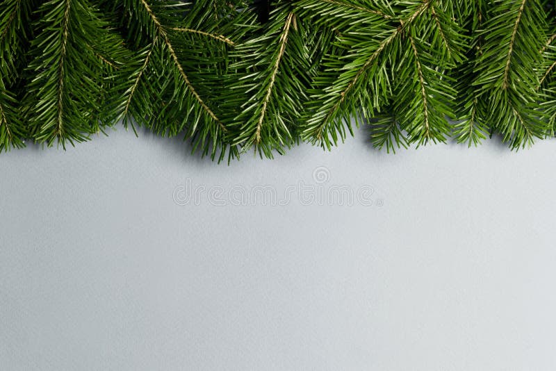 Fir Tree Branch Frame on White Stock Image - Image of needle, frame ...