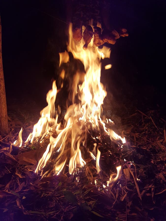 This is natural fire stock image. Image of real, firehot - 142108717