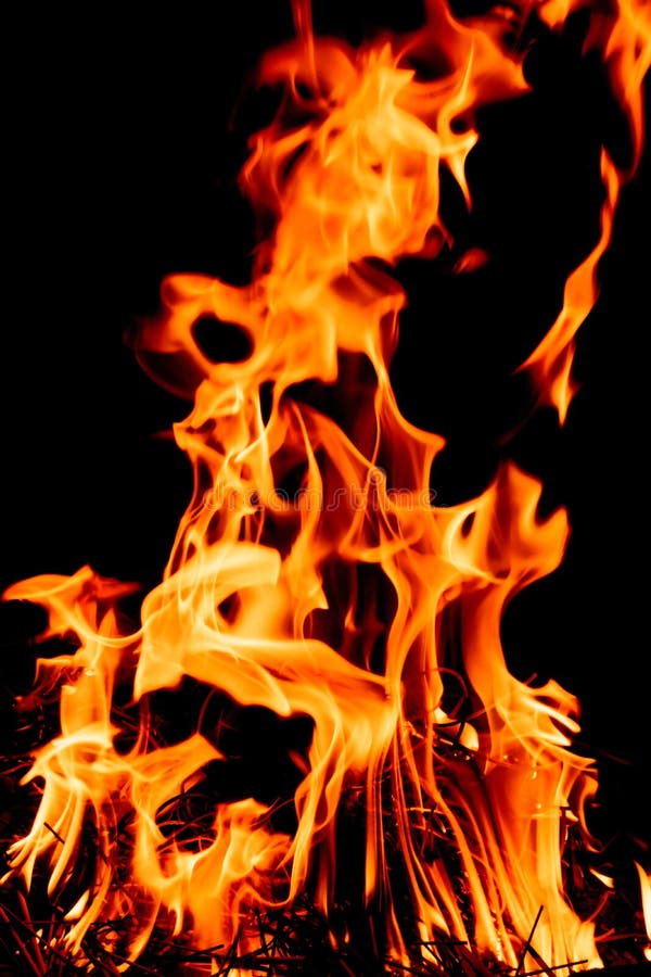 Natural Fire Flame at Night Stock Photo - Image of fiery, beautiful ...
