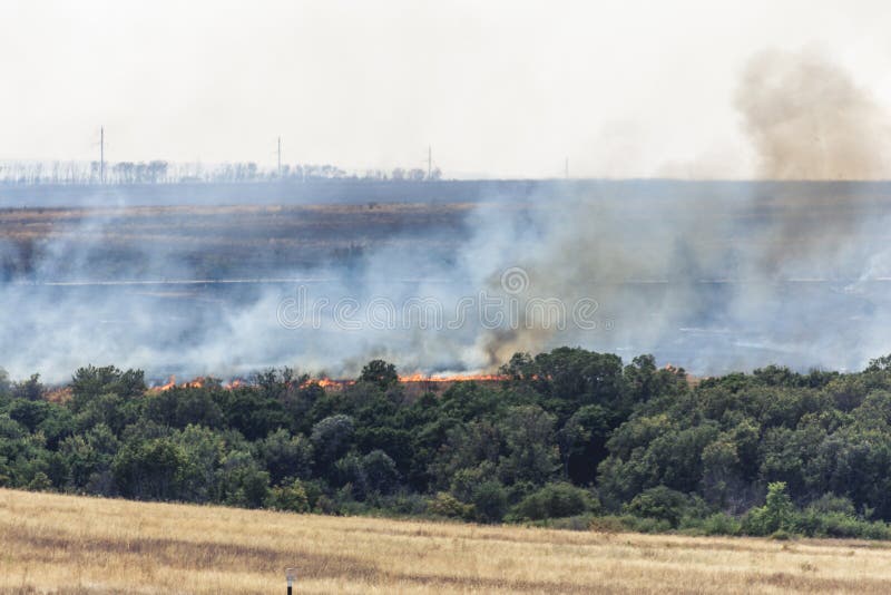 Natural Fire with Smoke, Wildfire, Burning Trees at Fields, Natural ...
