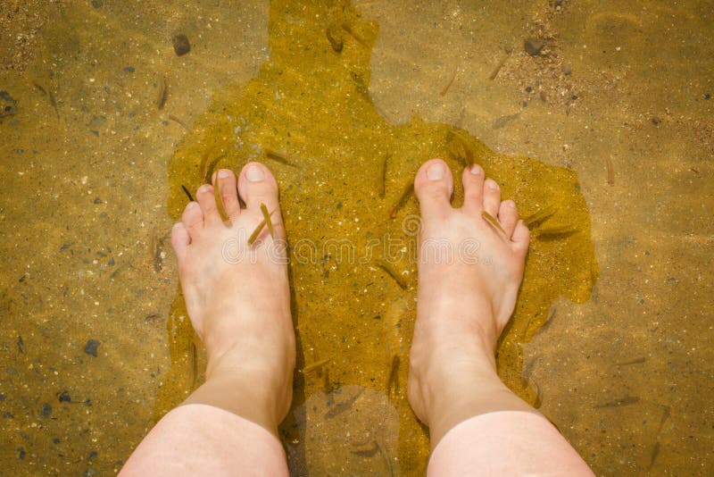 Natural fish spa therapy. stock image. Image of care - 71213403